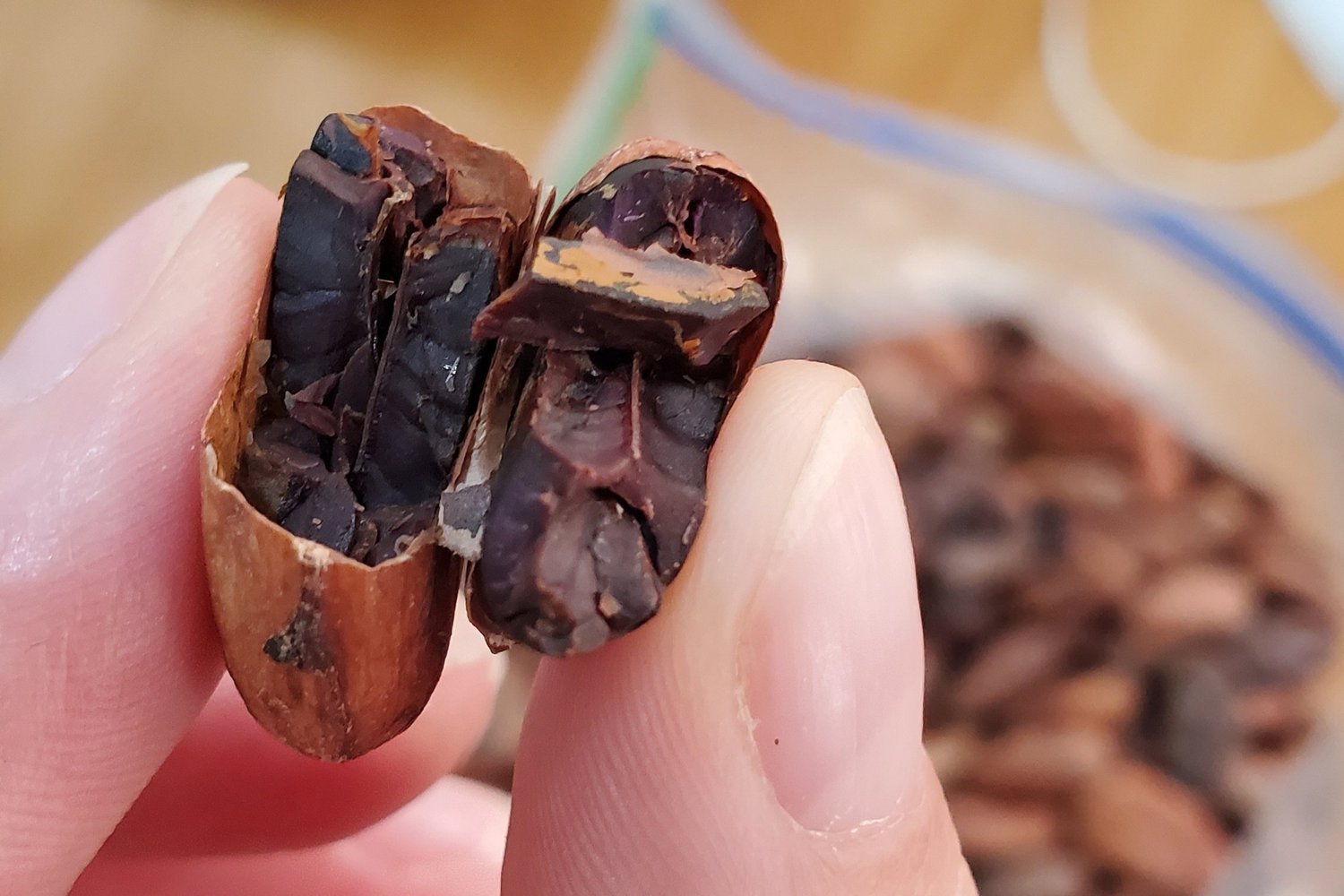 Sustainability in the Premium Cocoa Sector – Grow 2 | Liberia